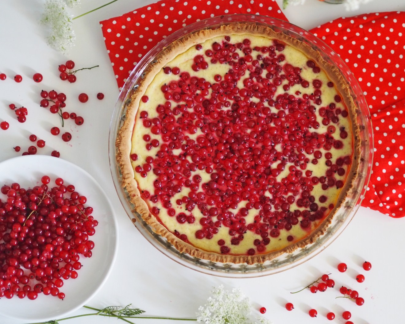 REB’S KITCHEN: red currant tart | fresshion